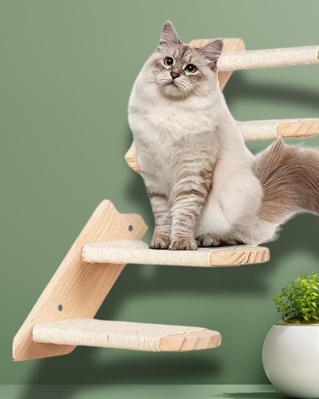 Wooden Wall Steps for Cats, Cat Climbing Wall, Cat Wall Shelves, Cat ...