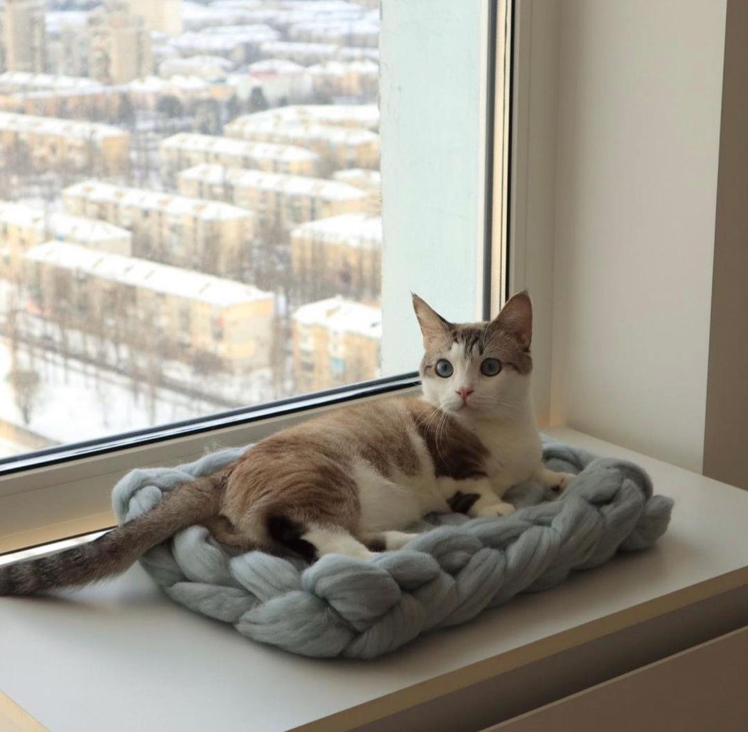 Soft Knitted Cat Bed, Padded Cat Mat, Knitted Kitten Bed, Soft Cat Bed ...