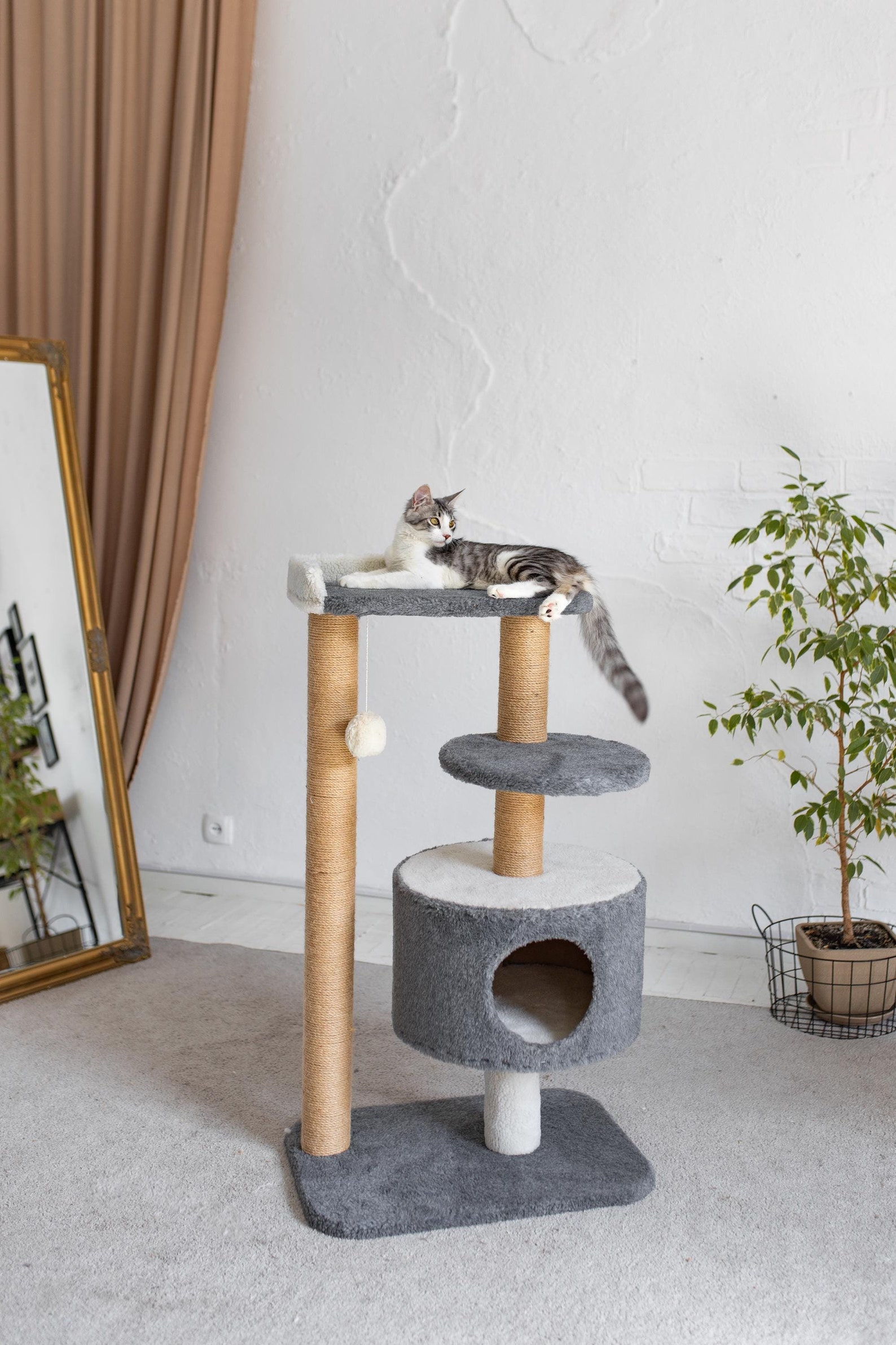 Indoor Scratching Cat Furniture, Pet House Indoor, Stylish Cat Tree ...