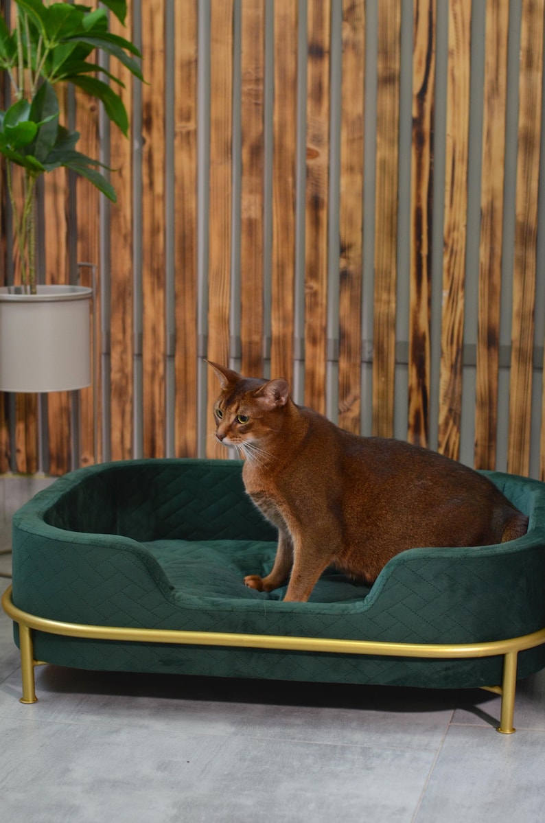 Elegantes Pet Gentle Kaufen Ebenbild