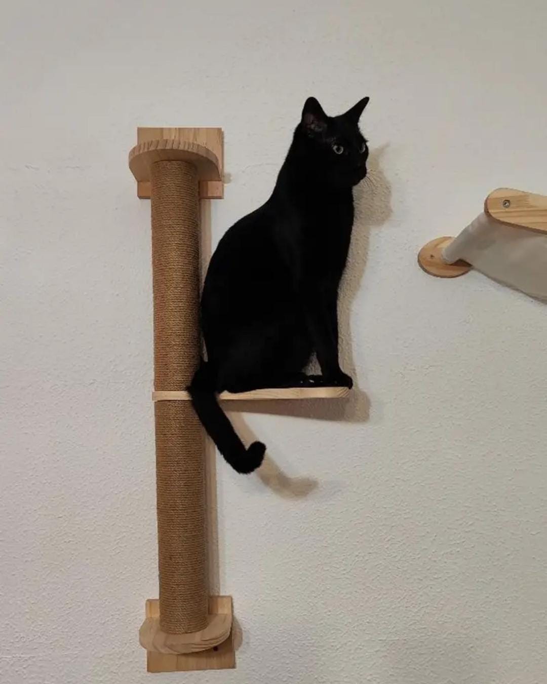 Large Wall Scraper With Shelves, Wall Scratching Posts, Modern Cat ...