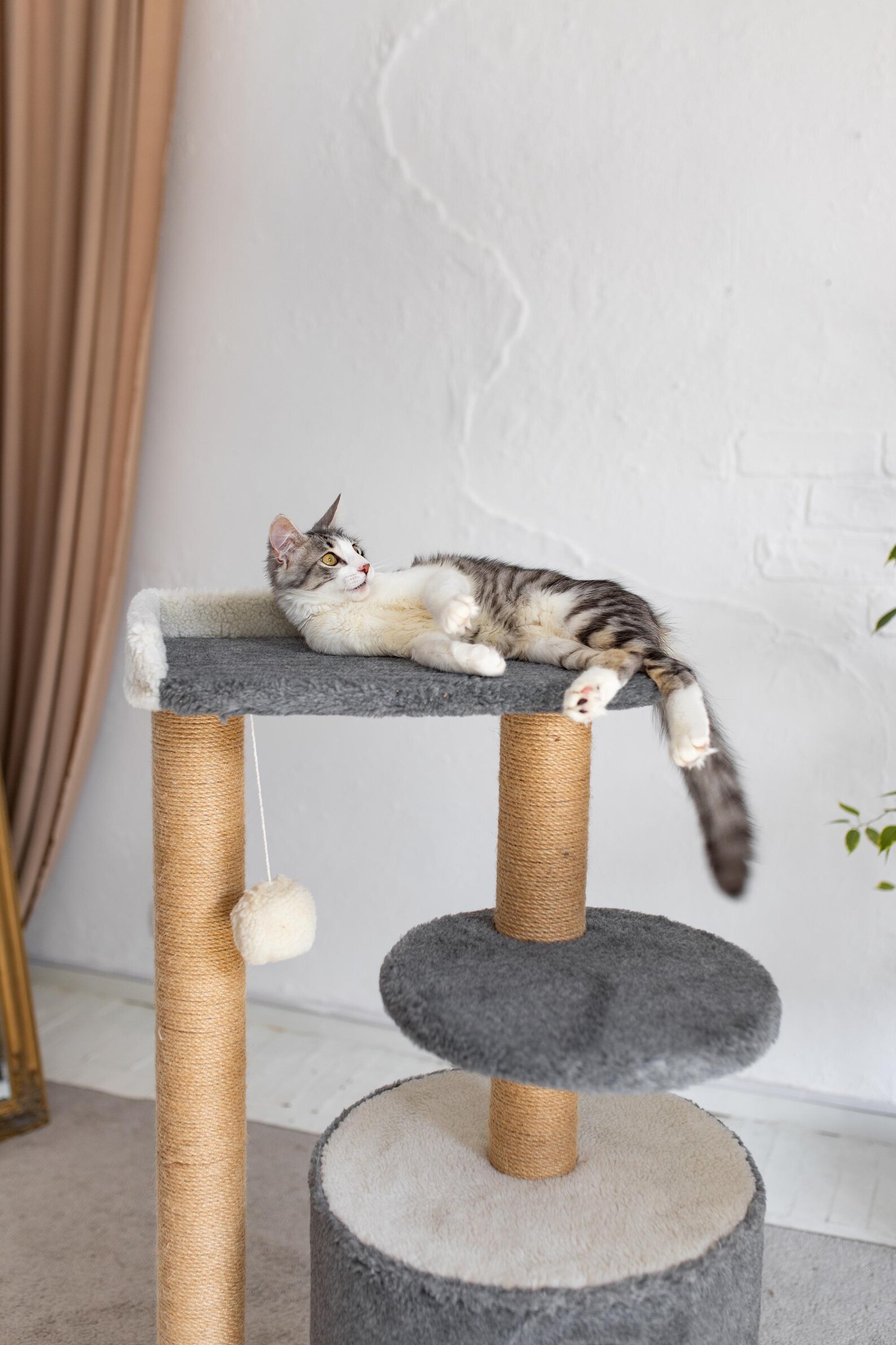 Indoor Scratching Cat Furniture, Pet House Indoor, Stylish Cat Tree ...