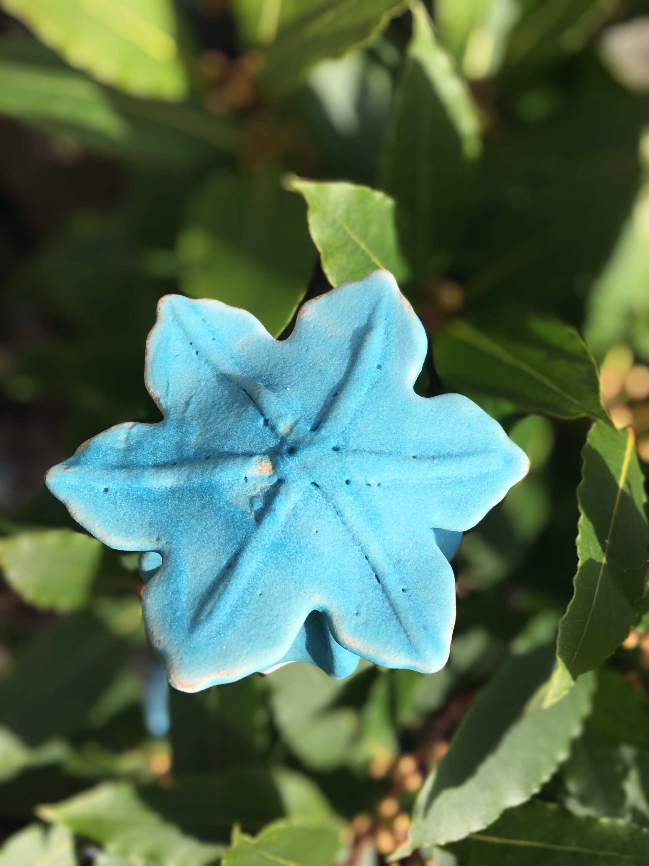 Ceramic Pod Garden Stake, Poppy Seed, Ceramic Garden Sculpture, Plant ...