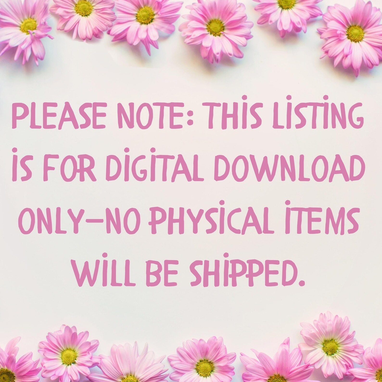 Smarty Cats Sticker, Cat Lover Sticker, Cute Digital Stickers, 50 PNG ...