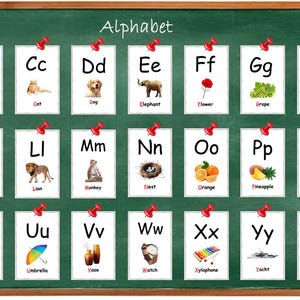 Realistic Alphabet Flashcards for Kids | A-Z Printable Educational ...