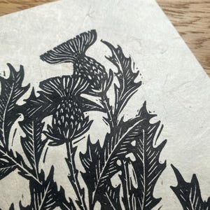 Thistles | Hand-pulled Relief Linocut Print of Thistle Florals - Etsy