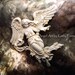 Angel Note Cards, Angel Photographs, Angel Notecards, Angel Photography ...