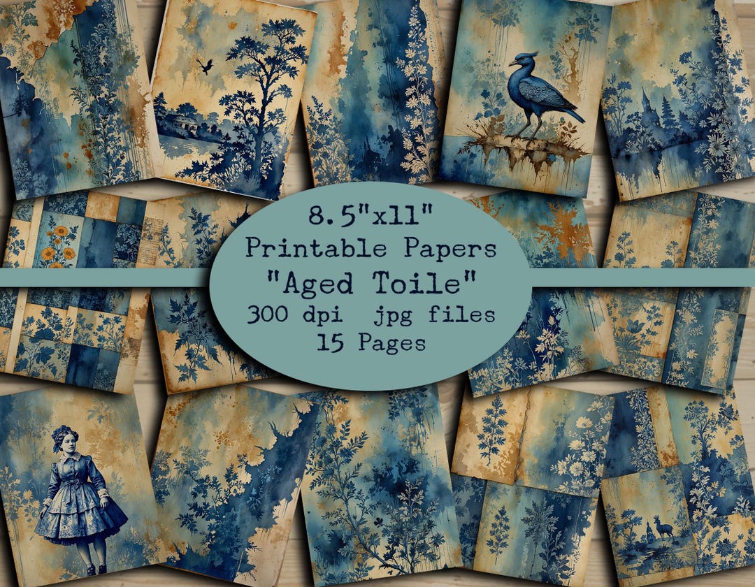 Blue Toile Printable Paper: Vintage Ephemera, Scrapbooking (digital ...