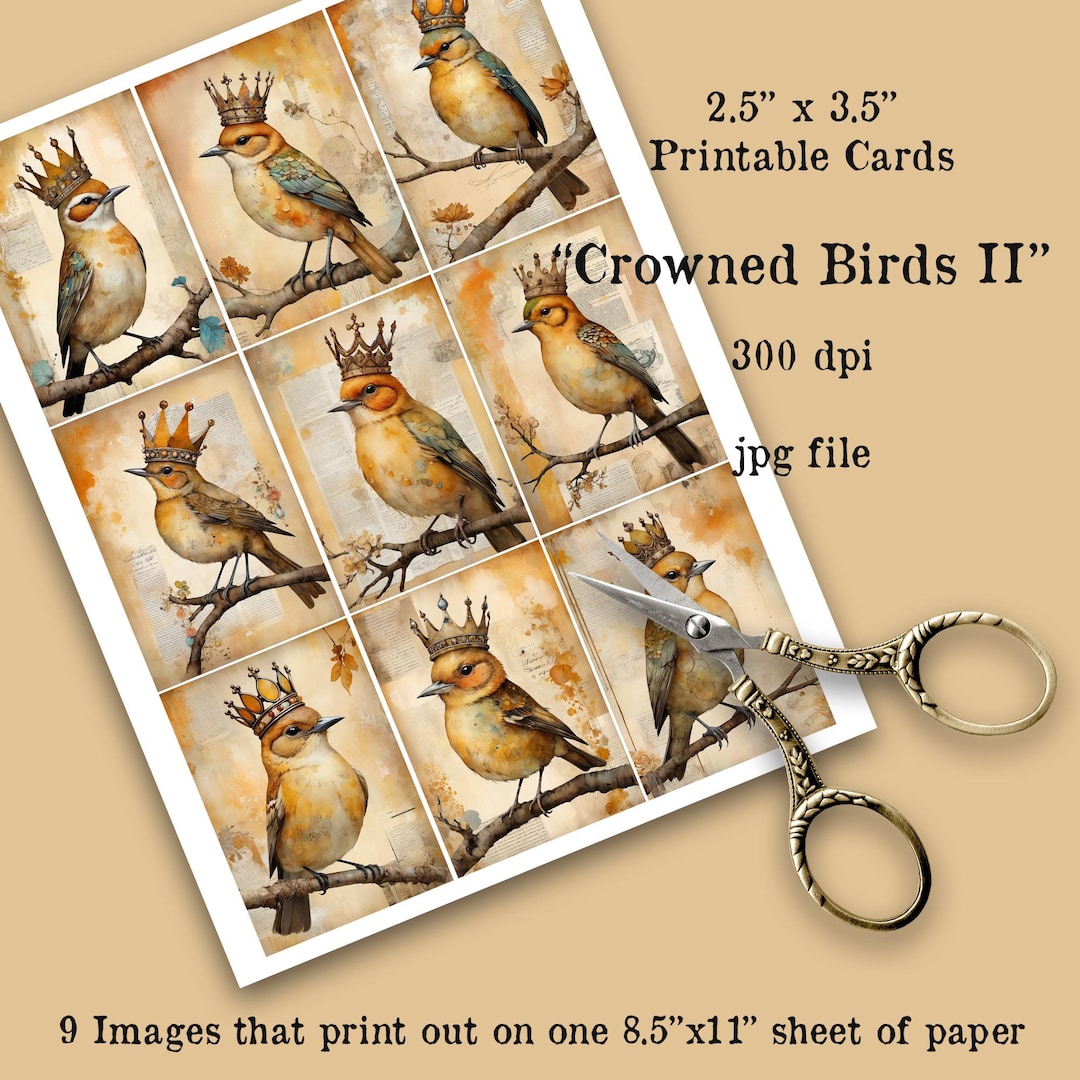 Crowned Birds Collage Sheet: Whimsical Ephemera (digital Download) - Etsy