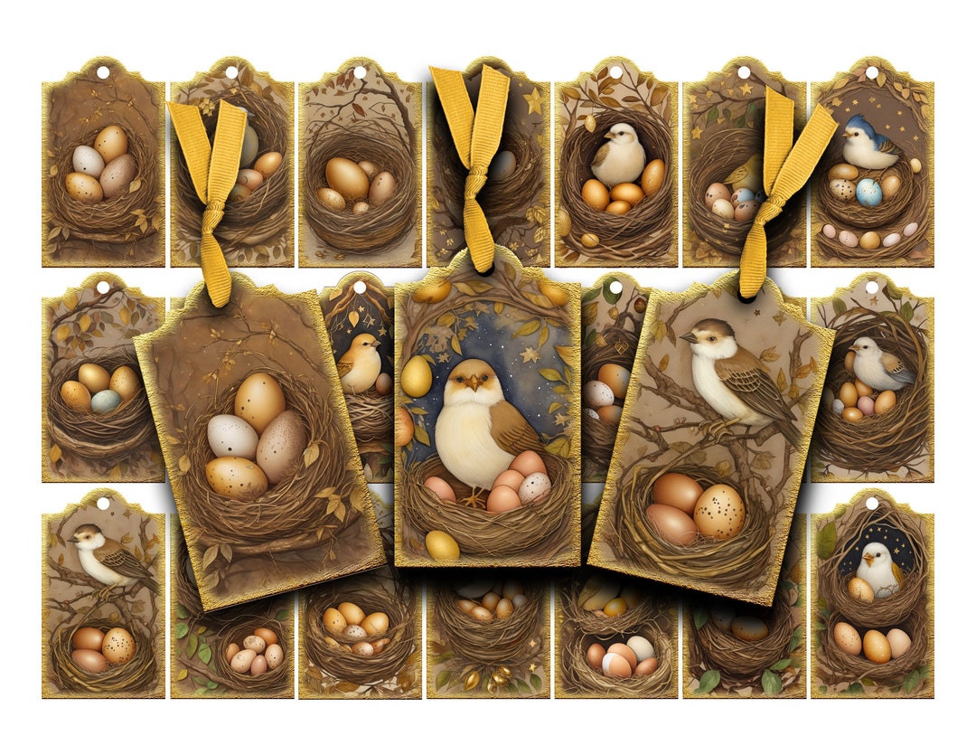 Birds and Nests Gift Tags: Watercolor Printable Clipart (digital ...