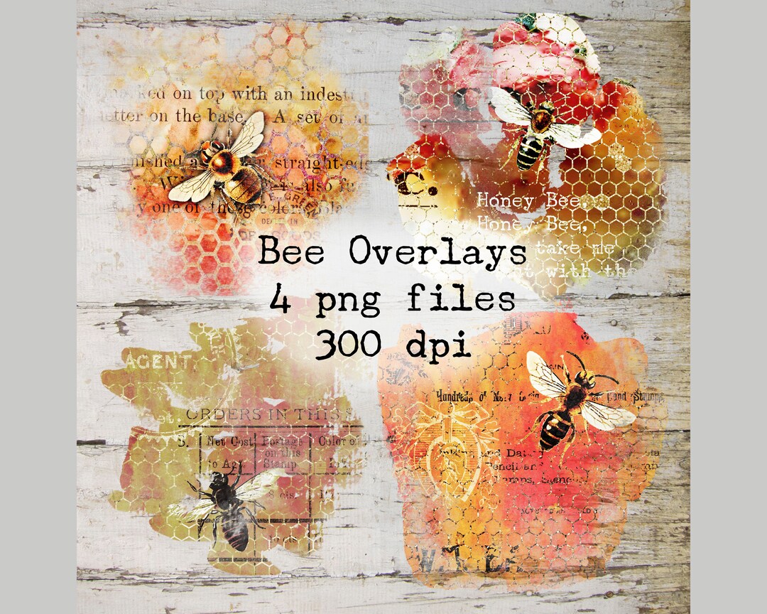 Bee Clipart, Bee Overlays, Watercolor Bees, Watercolor Clipart, Png ...