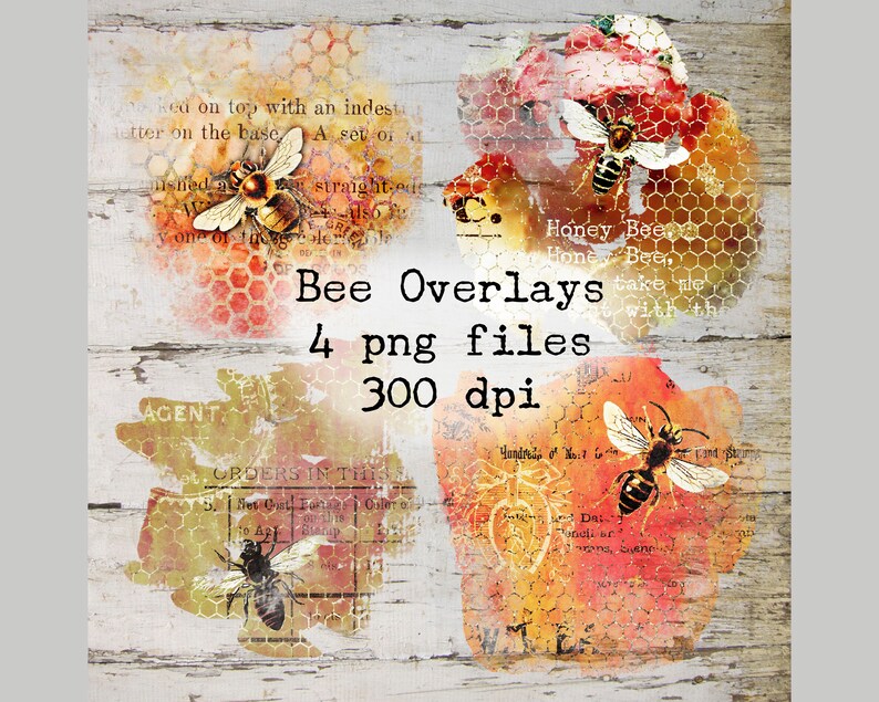 Bee Clipart Bee Overlays Watercolor Bees Watercolor - Etsy