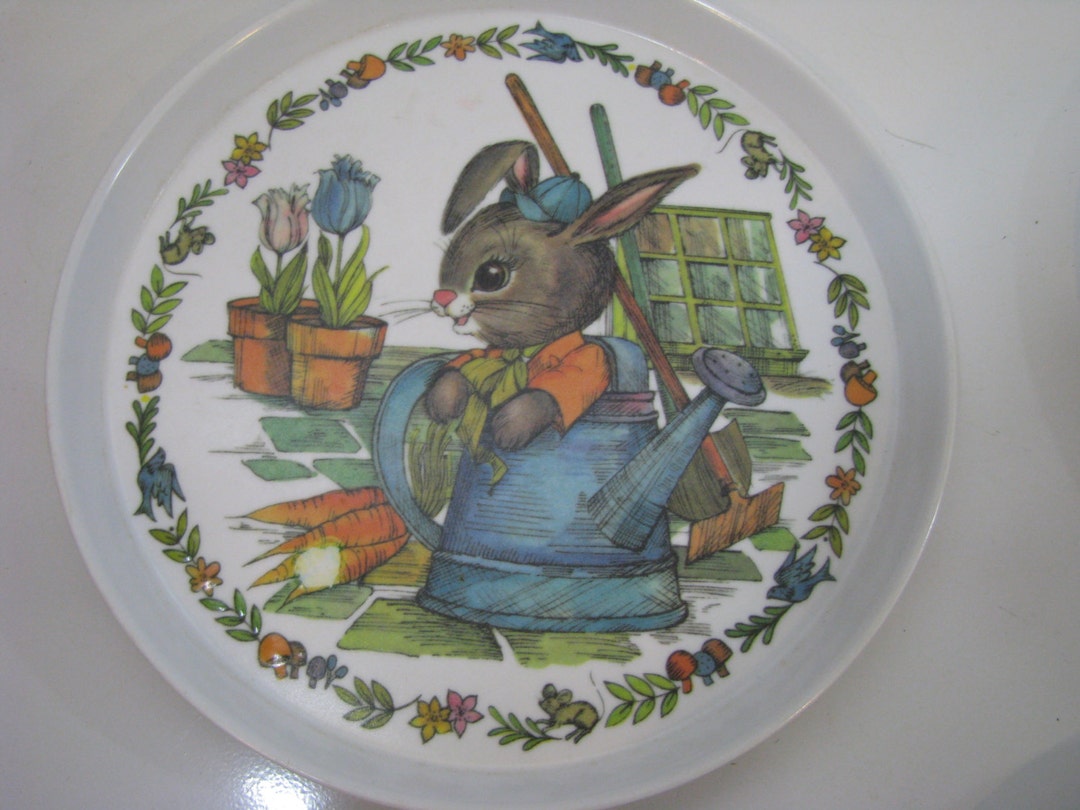 Vintage Childs Oneida Peter Rabbit Plate Melmac Melamine Dinnerware - Etsy