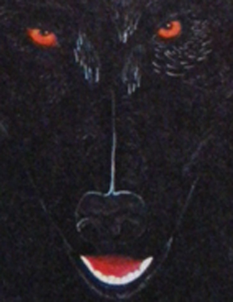 God's Hand & the Wolf, All Life is Sacred, Black Wolf Art, Animal Totem ...