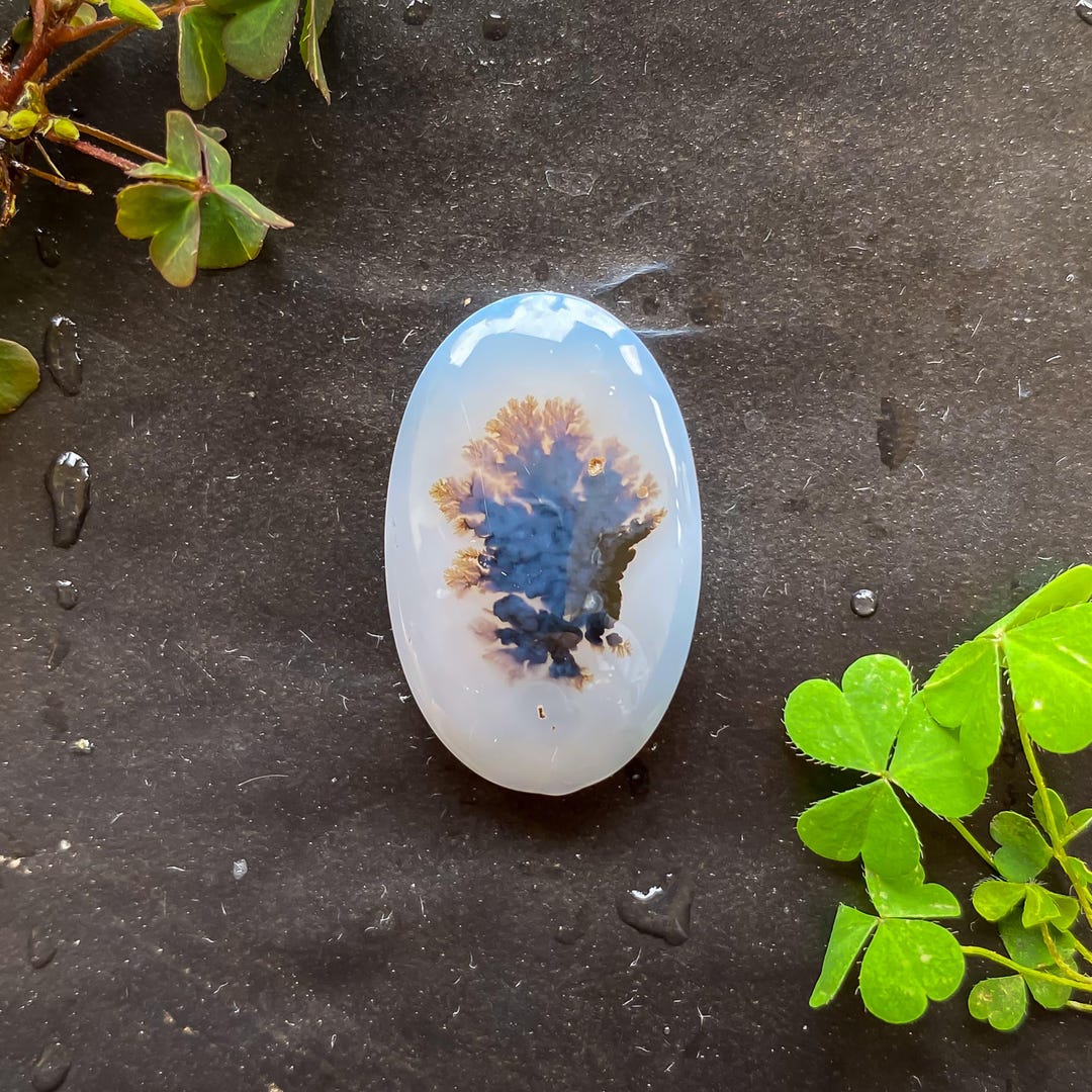 Dendritic Agate Stone – Natural & Rare, Healing Crystal, Collectible ...