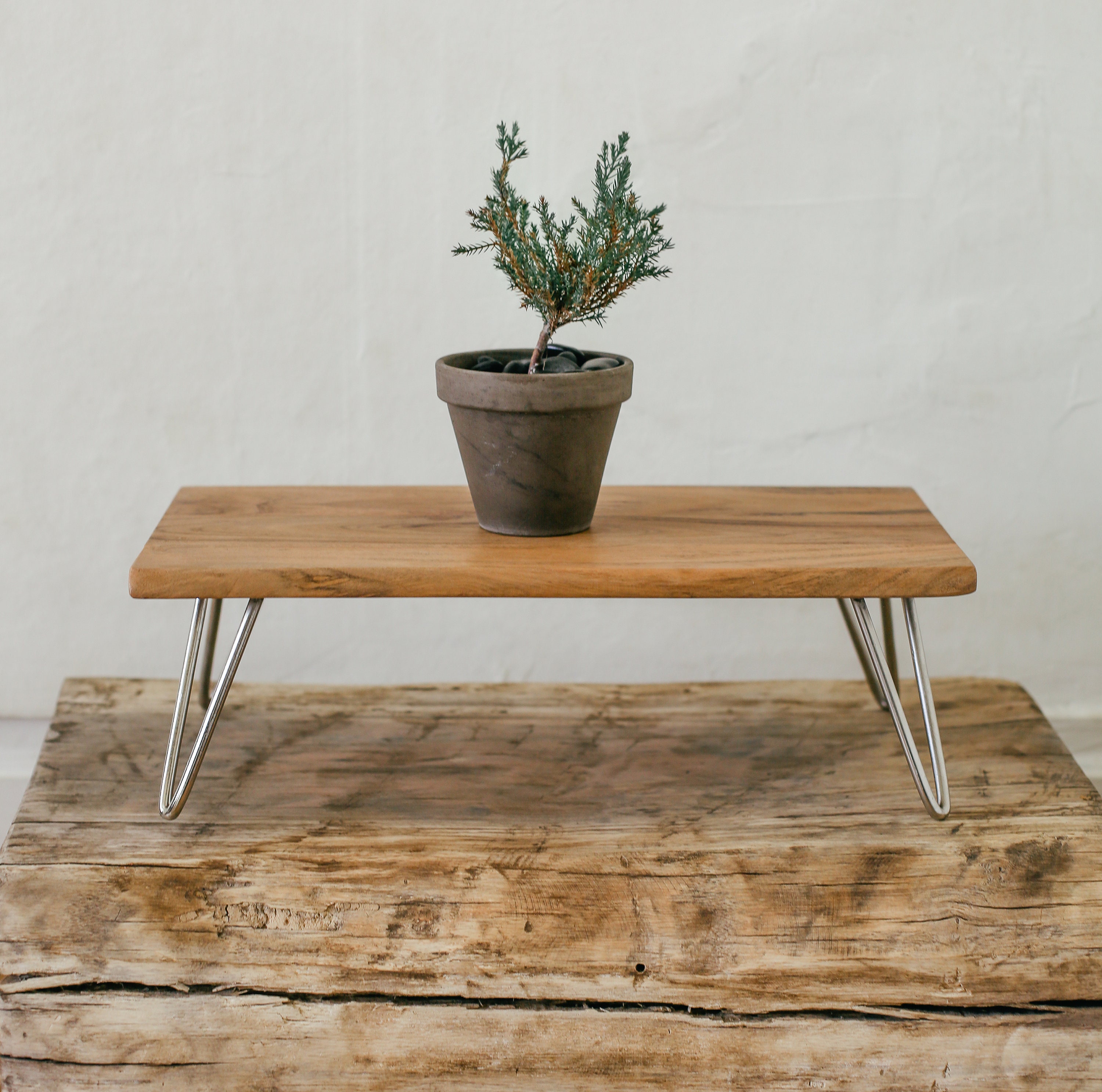 Modern Natural Wood Mid Century Bonsai or Terrarium Table - Etsy