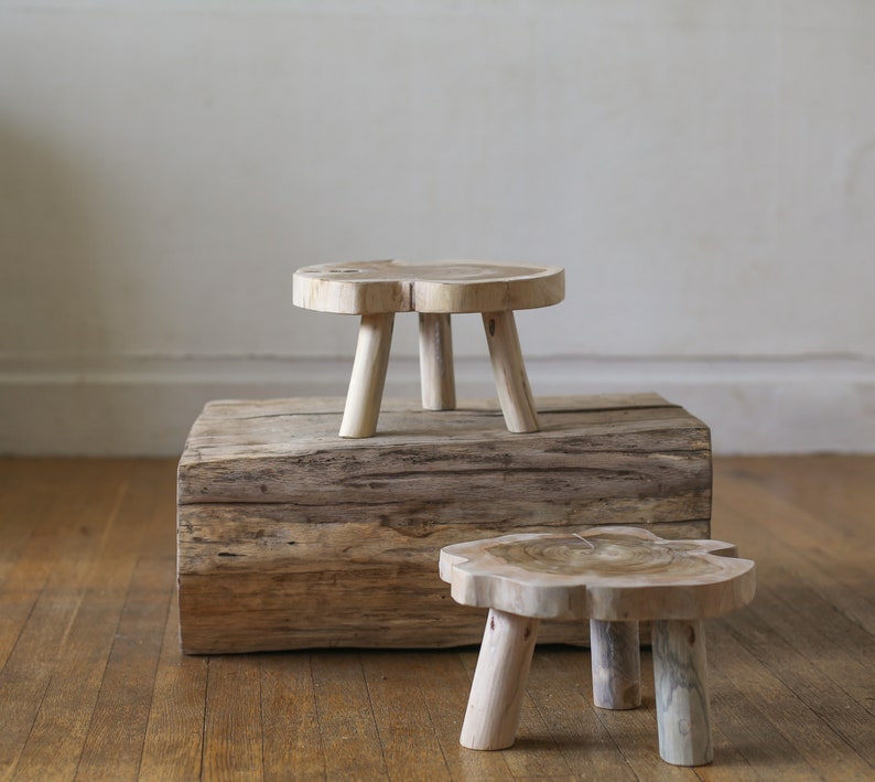 Bonsai or Terrarium Stool Rustic Natural Wood - Etsy