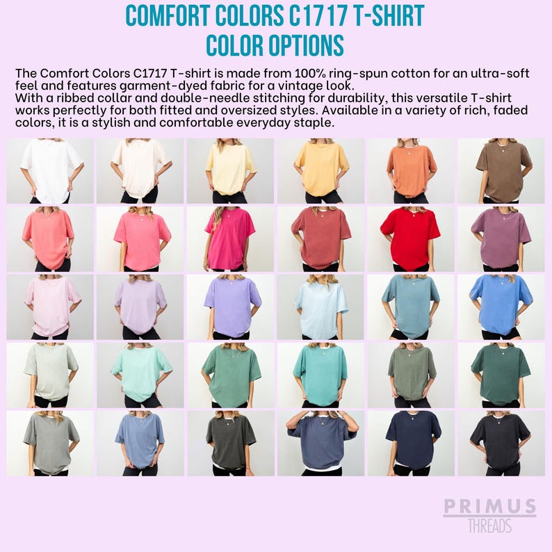 Comfort Colors Porch Goose Tee - Porch Goose Social Club Shirt for Her ...