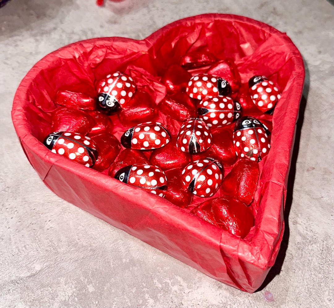 Chocolate Tray Fillable Love Heart Ladybird Red Hearts Bouquet Gift ...