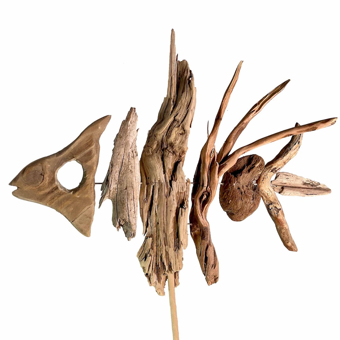 SKALAR FISH Sculpture Made of Forest and Driftwood, With Support Stand ...