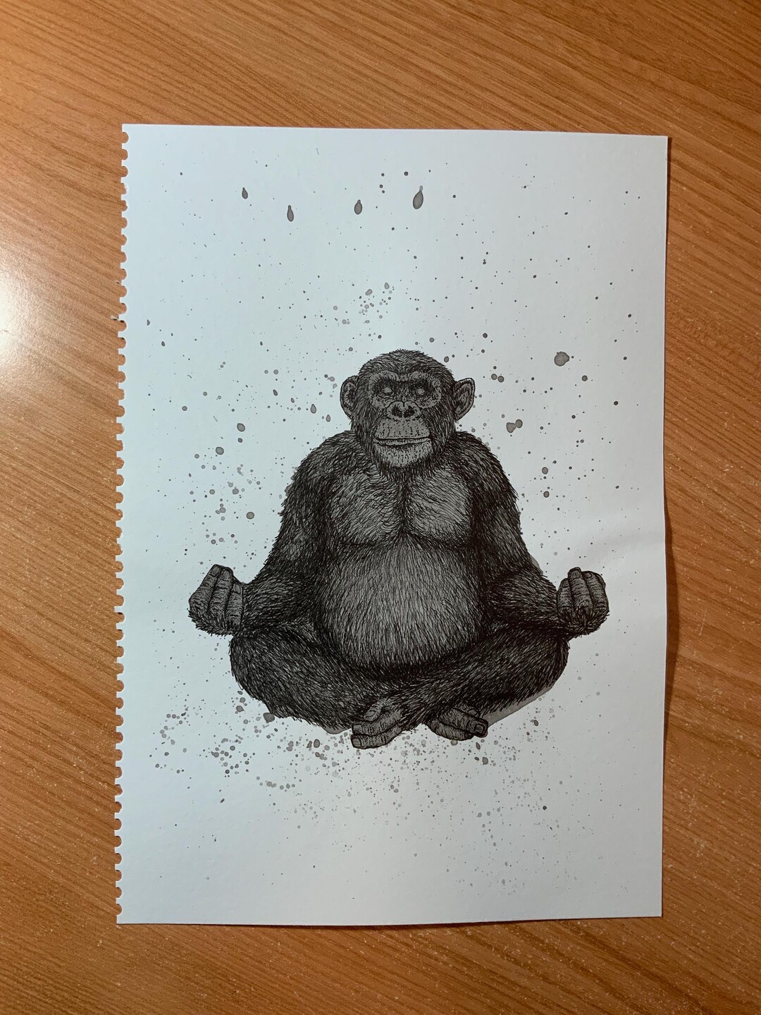 Monkey Meditating, Drawing Original by Milan Zazel - Etsy