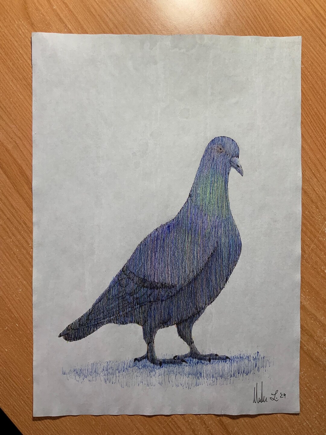 Pigeon, Freedom, Peace, Hologram, Matrix, Pets, Nature, Future, Mistery ...