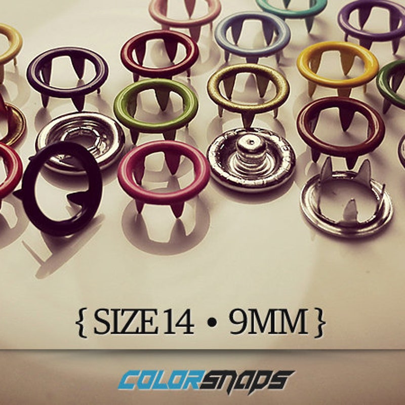 Colorsnaps - Etsy