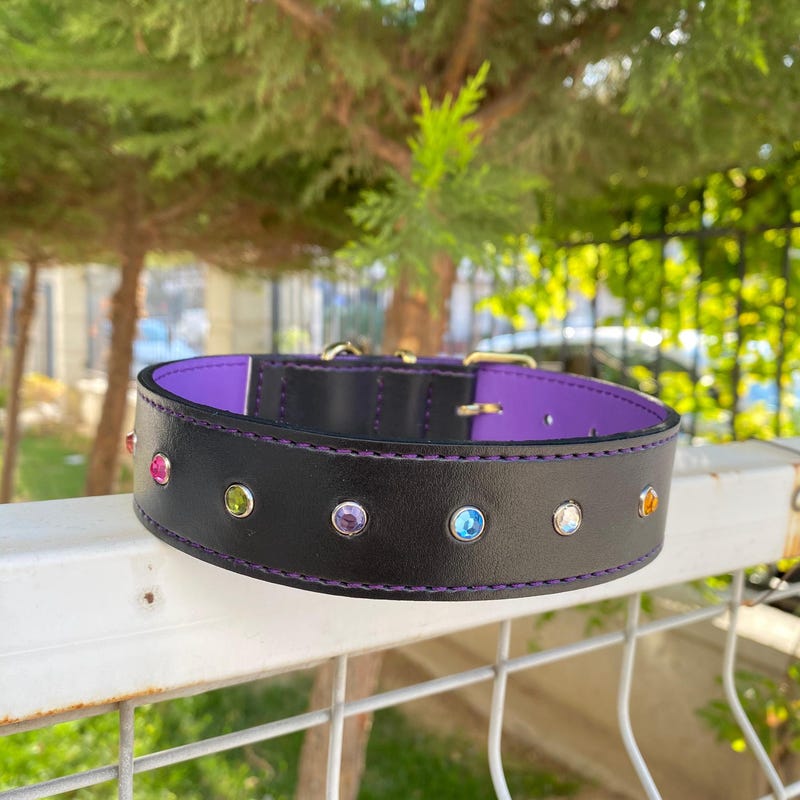 Crystal Dog Collar - Etsy