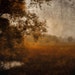 Autumn Landscape Photography, Dark, Rustic, Dreamy, Woodland, Nature ...