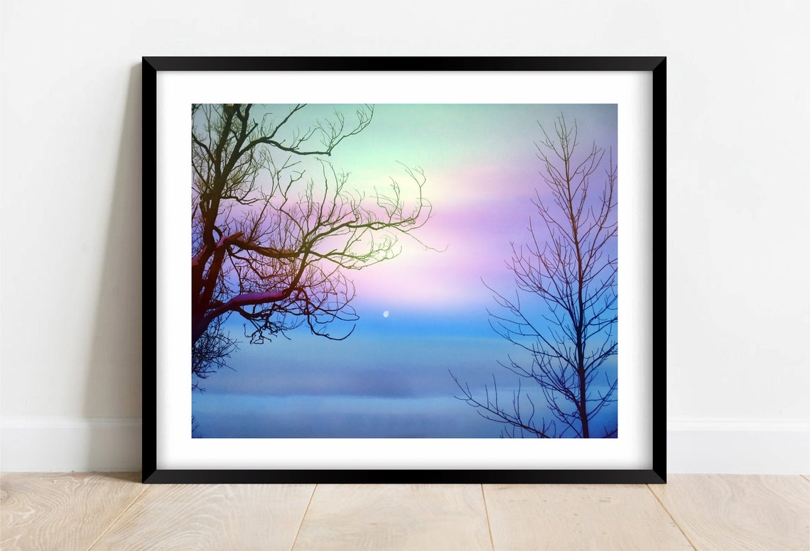 Winter Landscape Photography, Pink, Blue, Trees, Moon, Lake, Nature ...