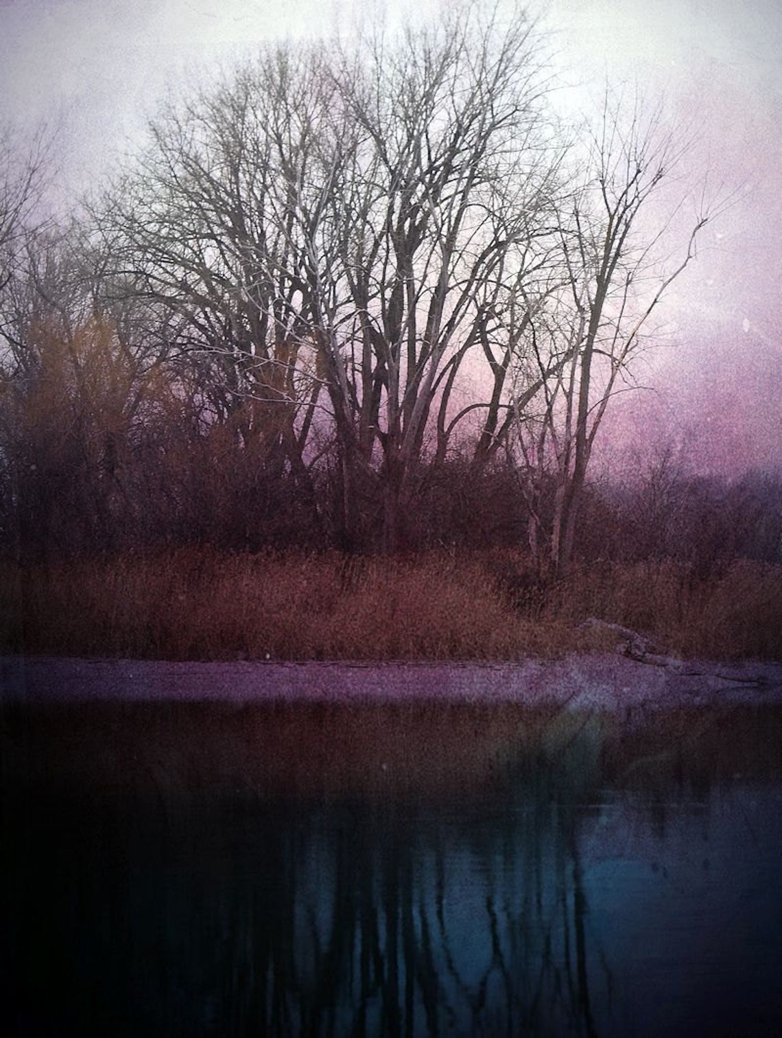 Surreal Landscape Photography, Surreal Print, Dark Mauve Purple, Forest ...