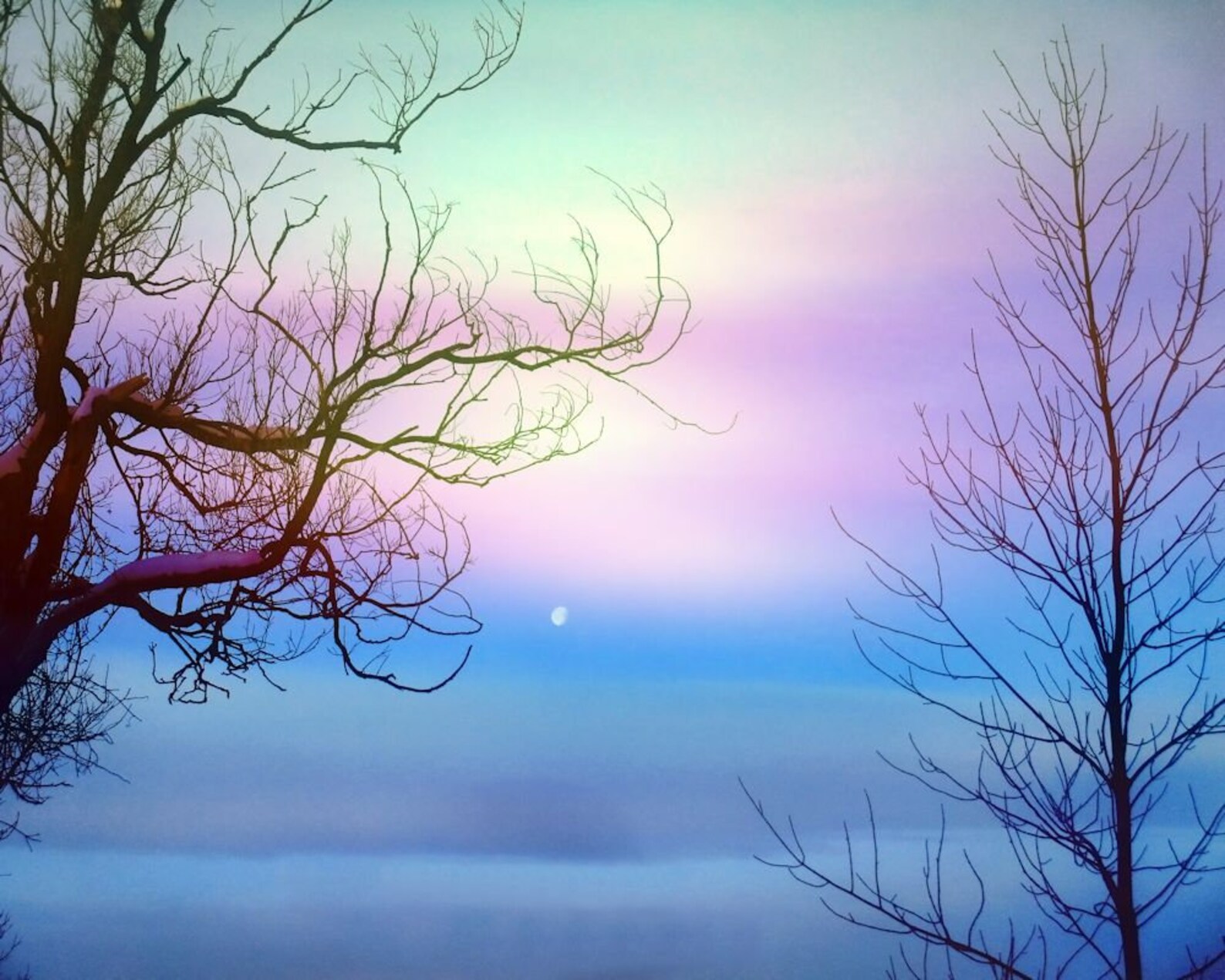 Winter Landscape Photography, Pink, Blue, Trees, Moon, Lake, Nature ...