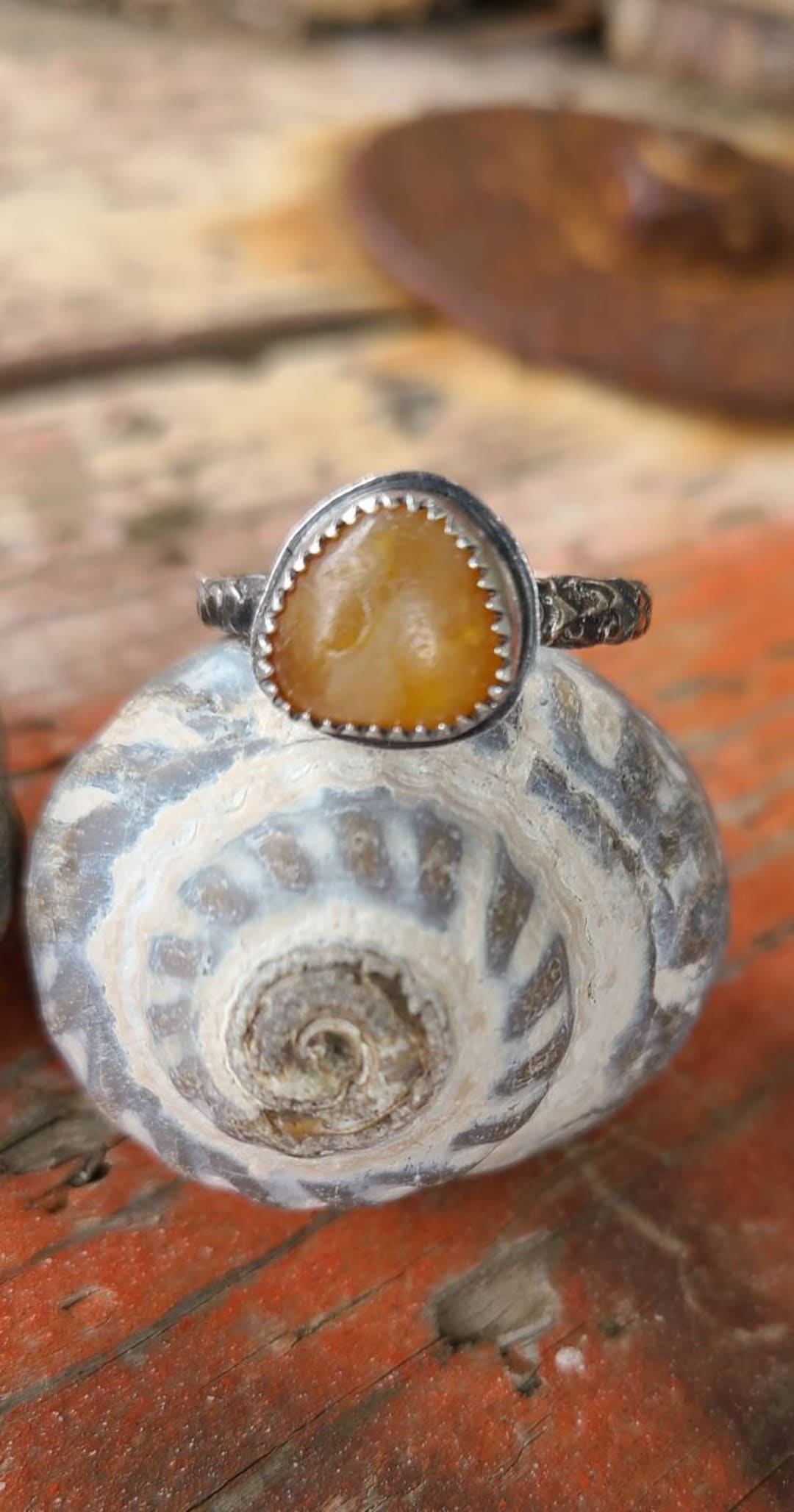 Rare Triangle Caramel Oregon Beach Agate Handcrafted Custom Silver ...