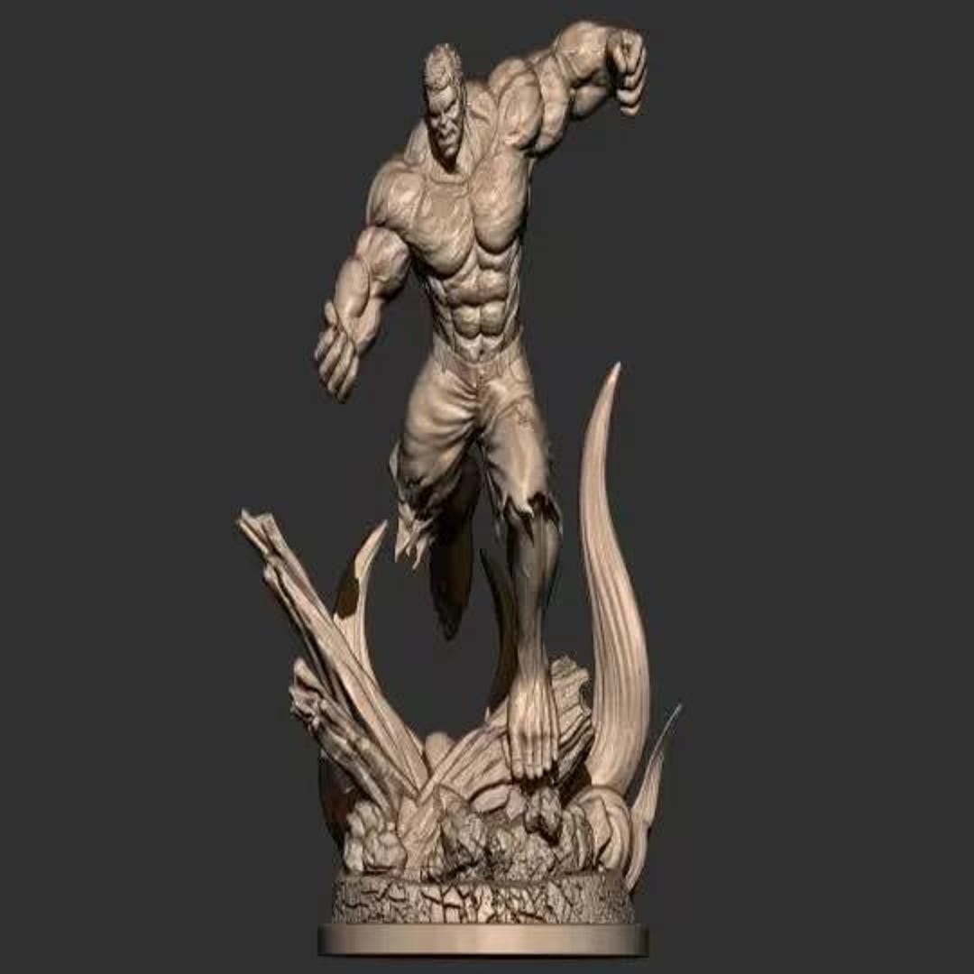 MARVEL Hulk Pack 14 Models Statue 3d Model 3d Printed 3d Stl Files - Etsy
