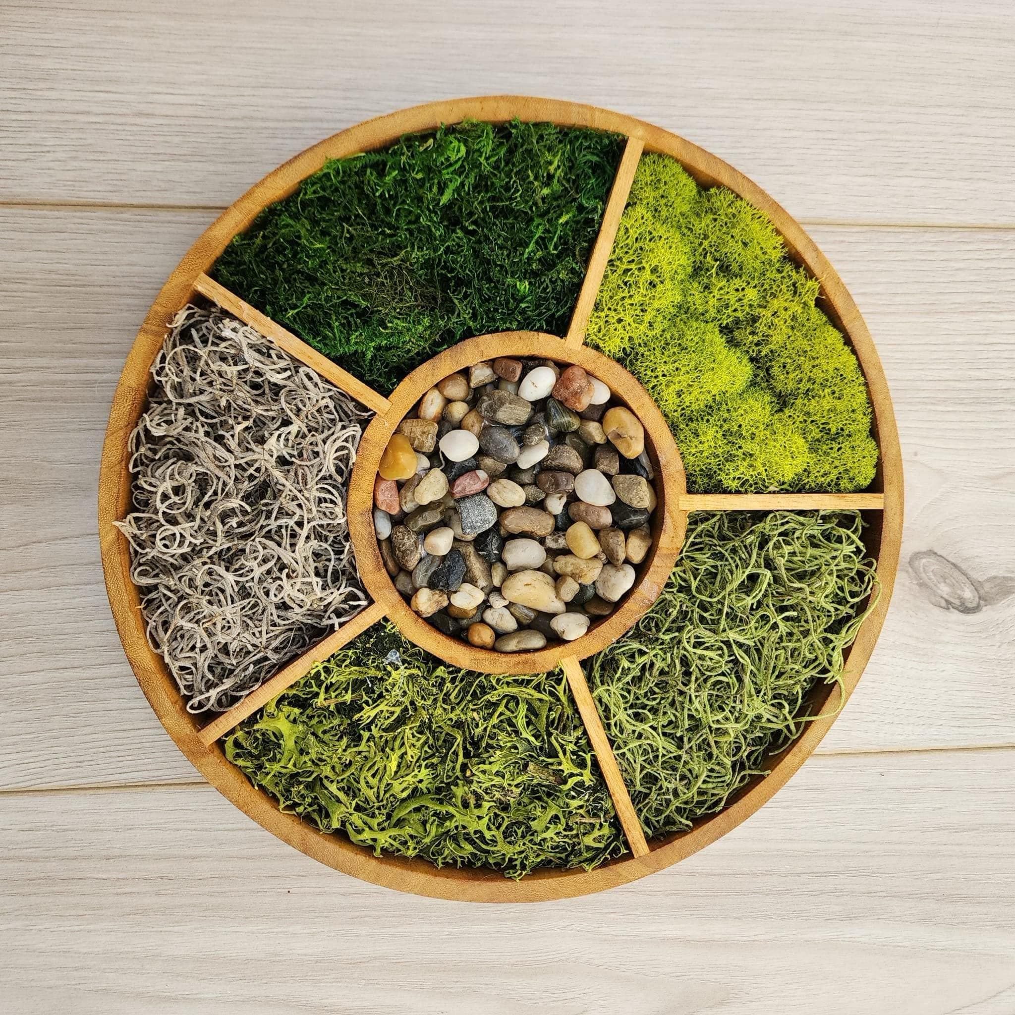 Earth Elements Mandala Preserved Moss Wall Art - Etsy