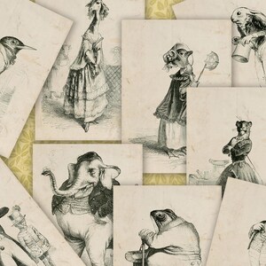 Wise Woman Printable Crone Archetype, Granny Witch, Grimoire Images ...