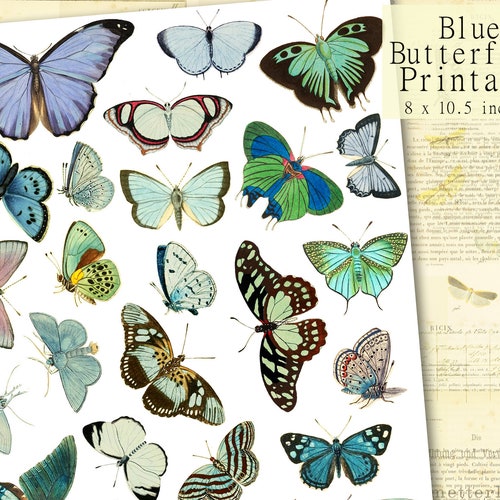 Blue Butterflies Digital Collage Sheet Cottage Garden Nature - Etsy