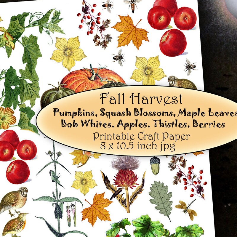 DigitalButterflies - Etsy