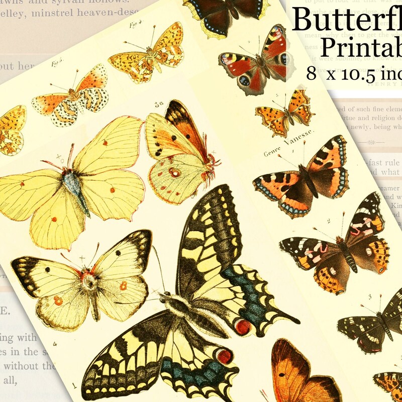 DigitalButterflies - Etsy