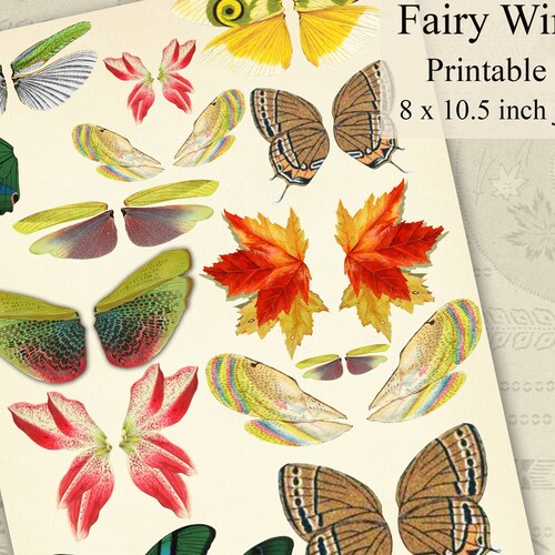 Butterfly Wings Digital Collage Set - Etsy
