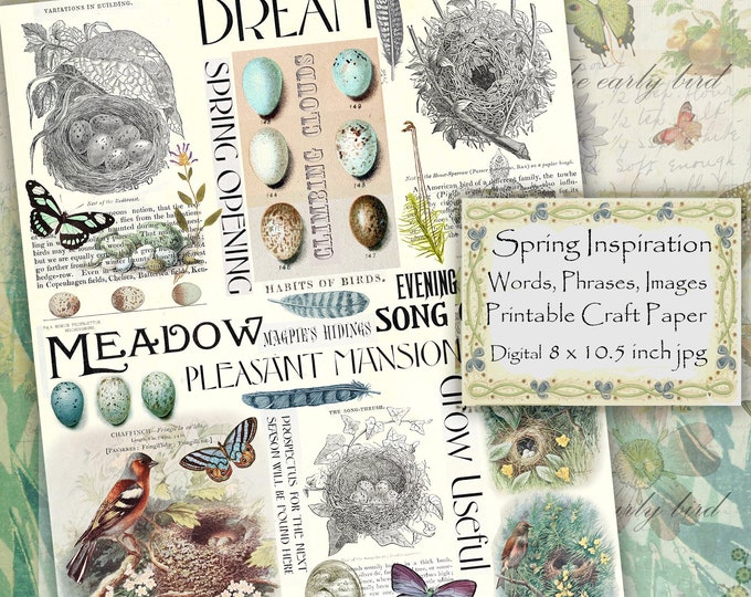 This item is unavailable - Etsy