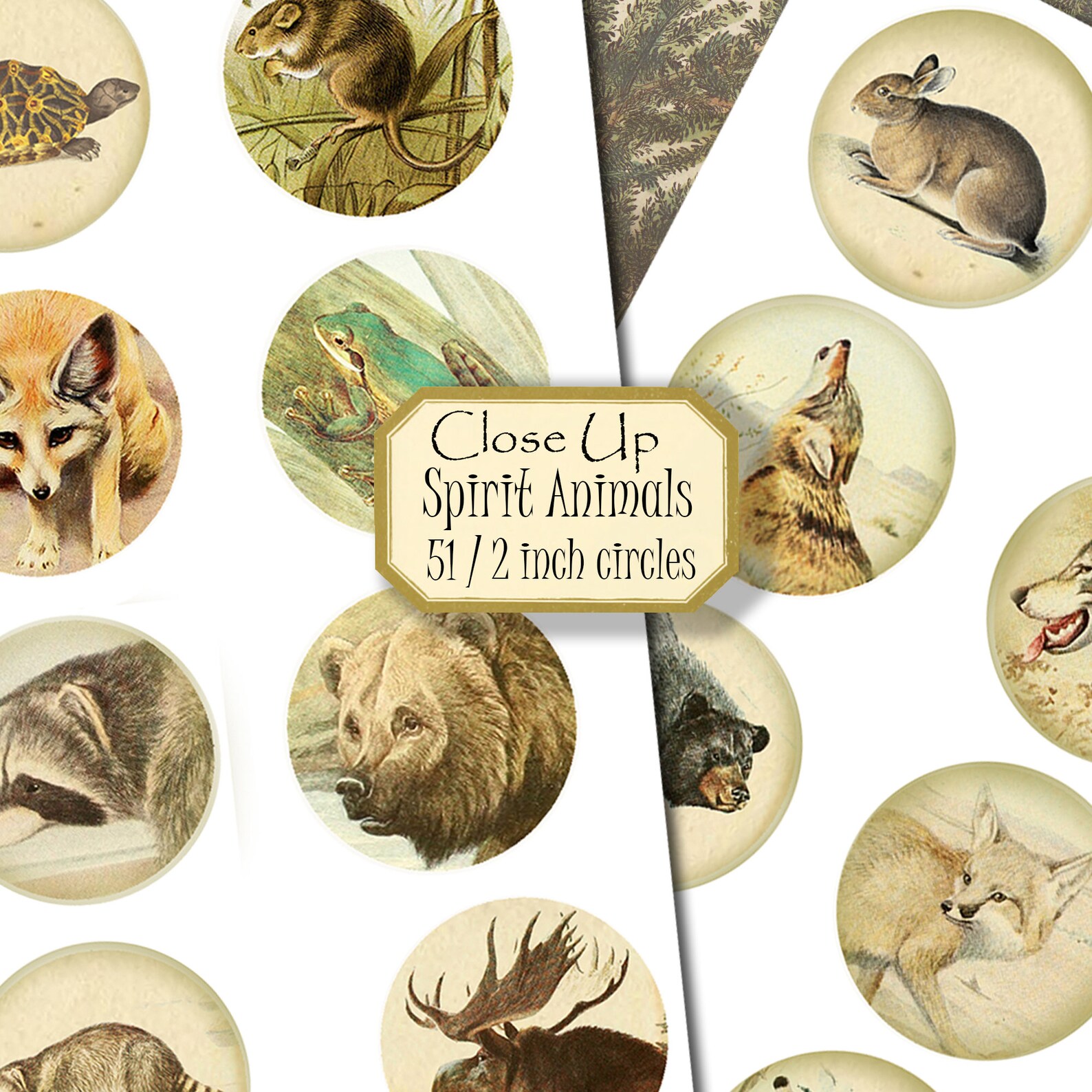 Printable Spirit Animal Totem Charm Images, 51 2 Inch Circles, Set of Four 8 X 10.5 Inch Jpg ...