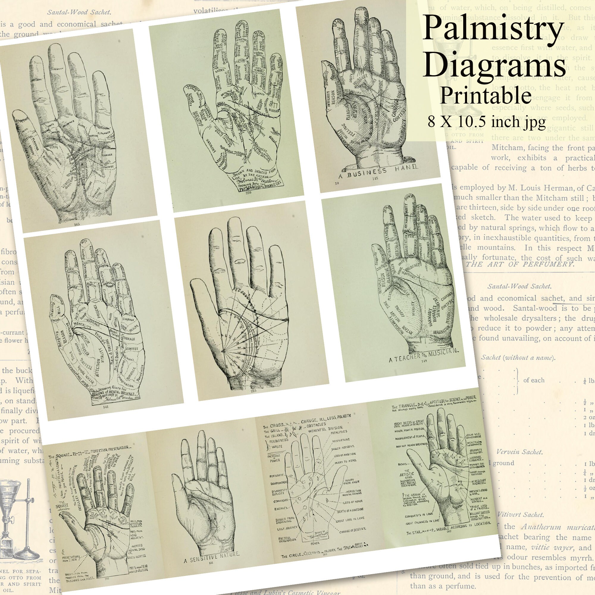 Vintage Palmistry Diagrams, Digital Collage Sheet, Instant Printable ...