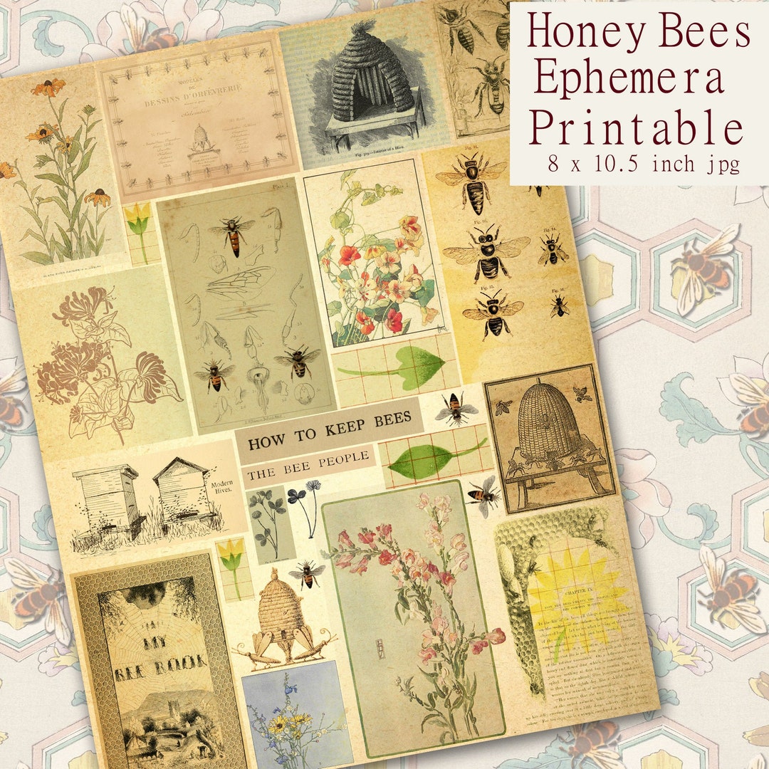 Honey Bees Ephemera Printable, Scrapbooking, Nature Journaling ...