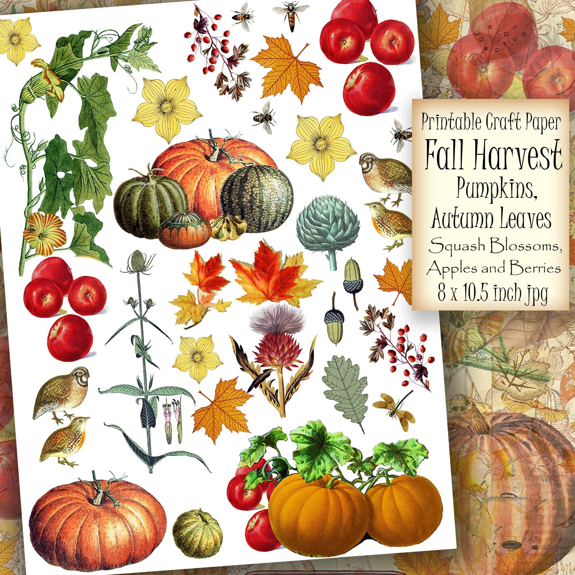 Printable Fall Harvest Pumpkins Apples and Berries Craft - Etsy