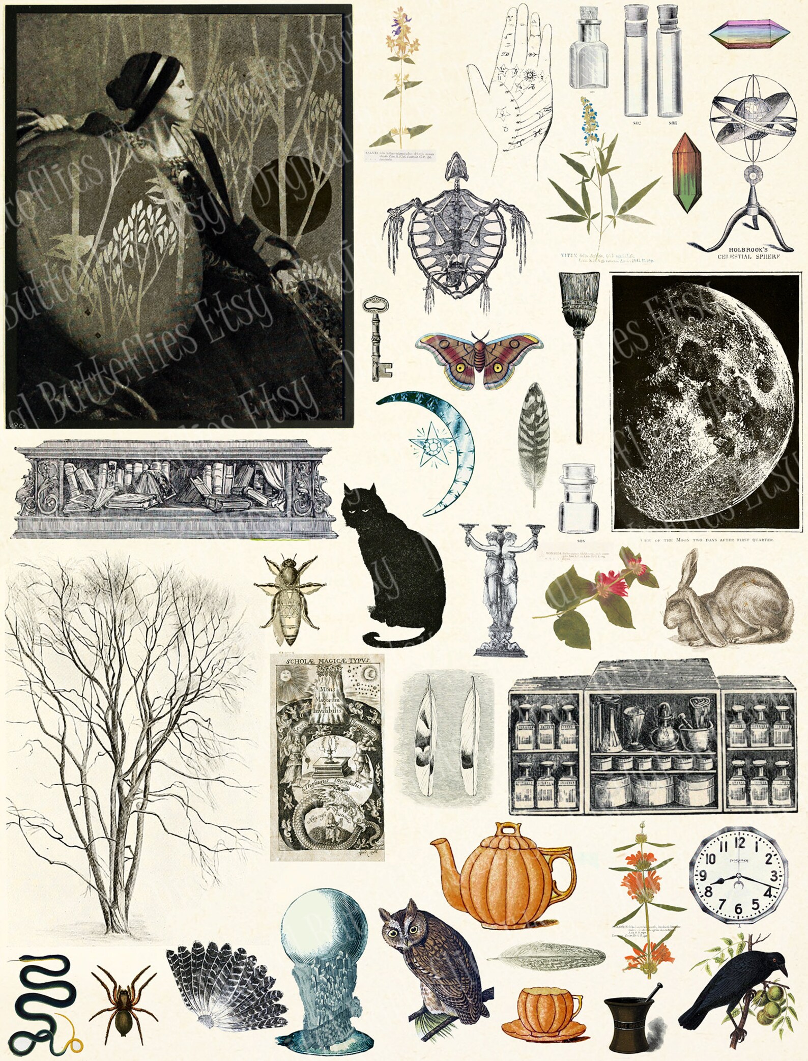 Wise Woman Printable Crone Archetype Granny Witch Grimoire - Etsy