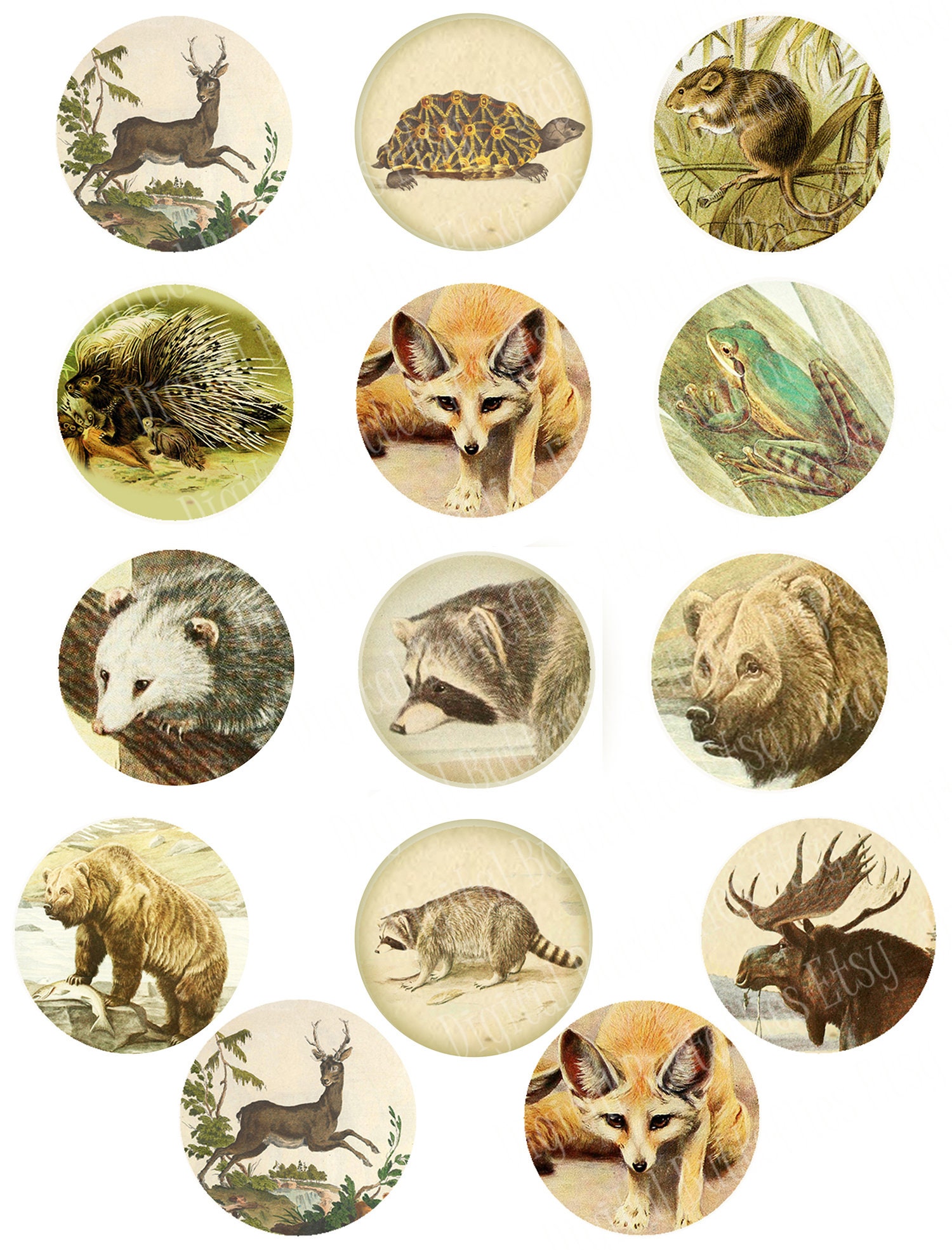 Printable Spirit Animal Totem Charm Images, 51 2 Inch Circles, Set of Four 8 X 10.5 Inch Jpg ...