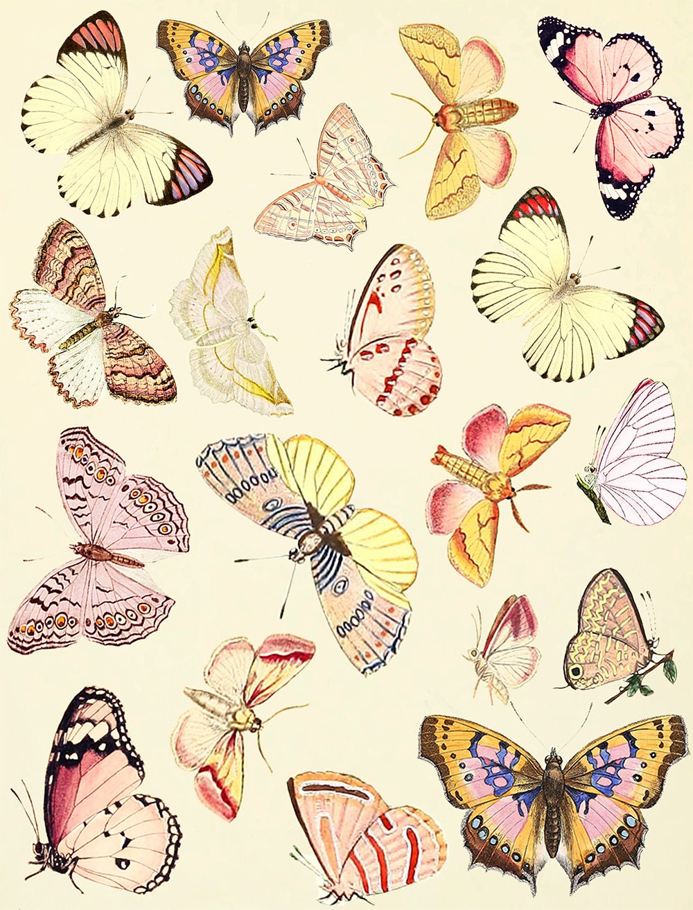 Pink Butterflies and Little Birds Cottage Garden Printables - Etsy