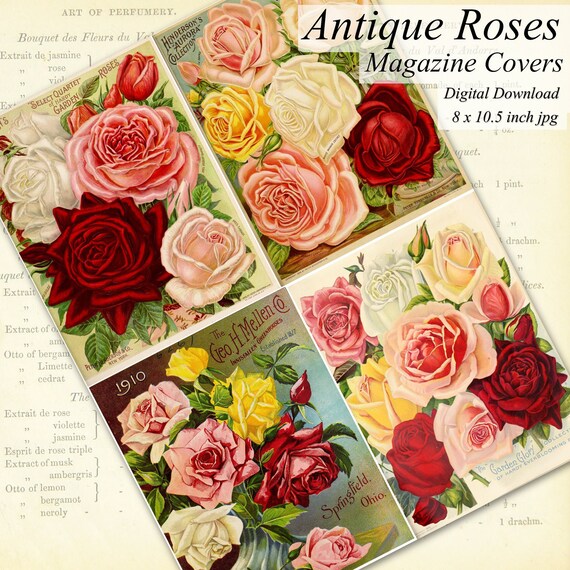 Victorian Roses Printable Magazine Covers Digital Collage | Etsy