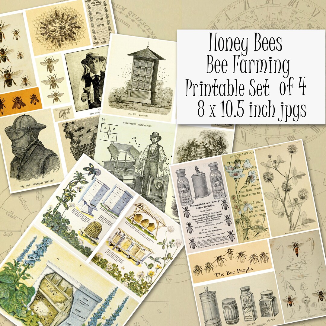 Beekeeping Printable Downloads, Honey Bees Ephemera Scrapbook Collage ...